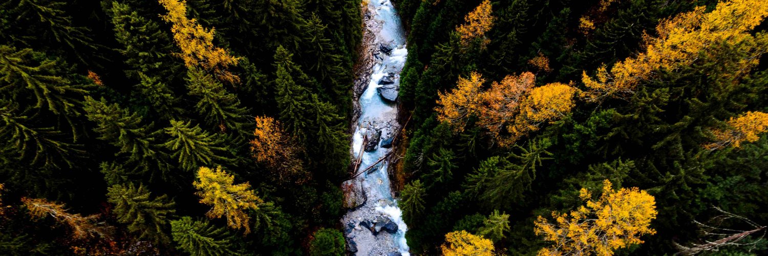 Bokep indonesia terbaru marri sexx 18 (@GiancarloBem478) / Twitter