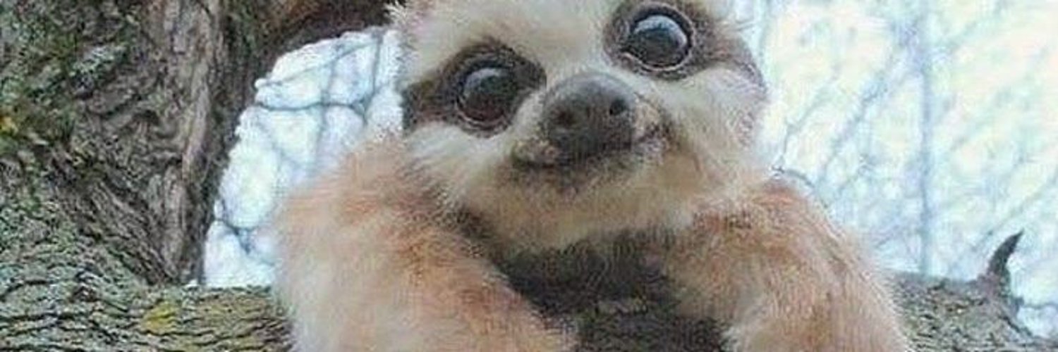 Manu Cornet (@lmanul) / Twitter