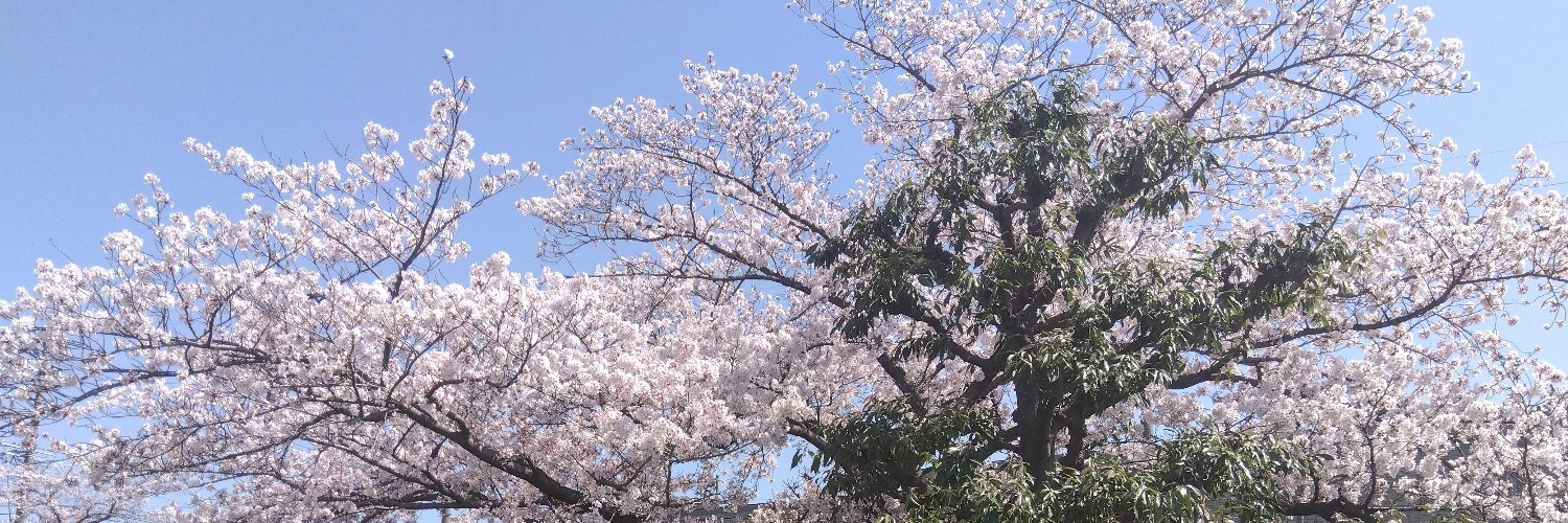島田修二 (@shimada_syuji) / Posts / X