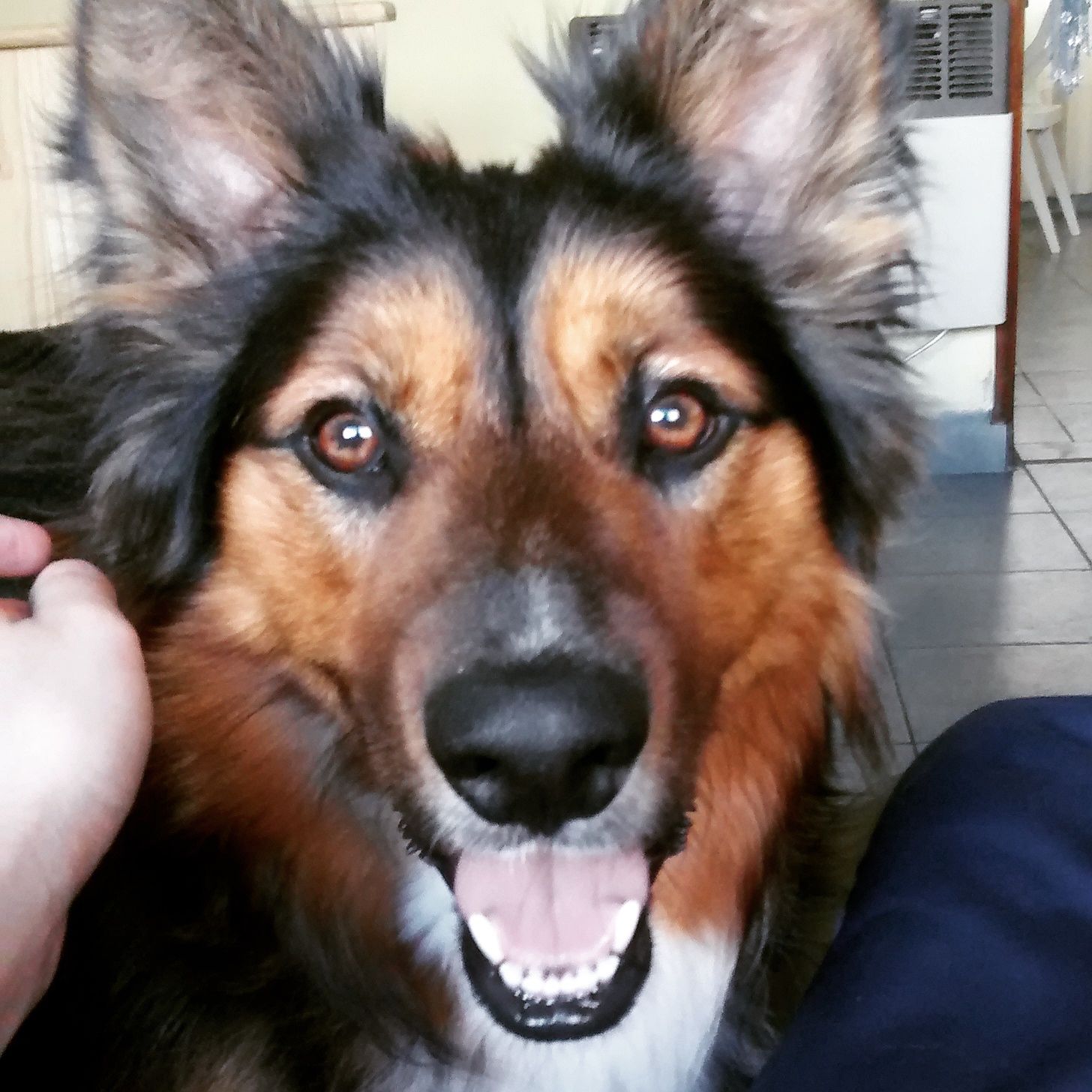 Lucio Cepeda (@luciocepeda) / Posts / X