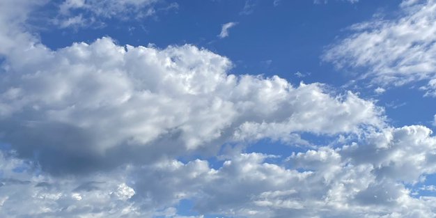 中トトロ(@105feet) - Twilog