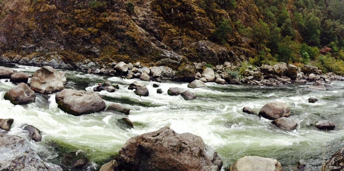 Rogue Wilderness (@roguewilderness) / Posts / X
