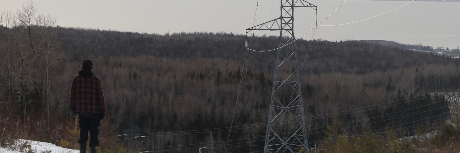 WinterRays (@ColdWinterPaws) / Posts / X