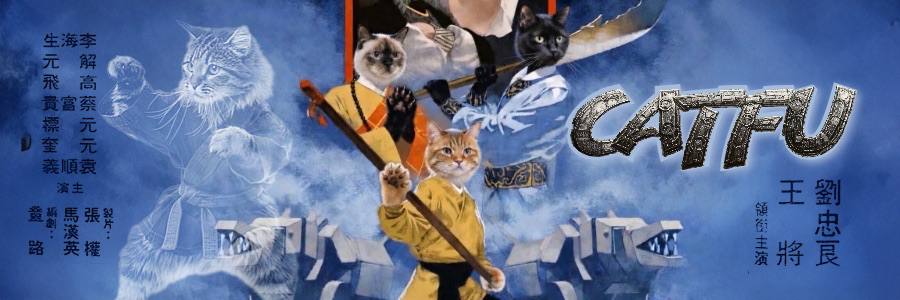 CatFu (@catfusolana) / Posts / X