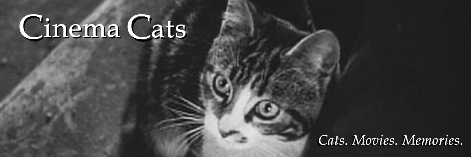 Cinema Cats (@CinemaCats) / Posts / X