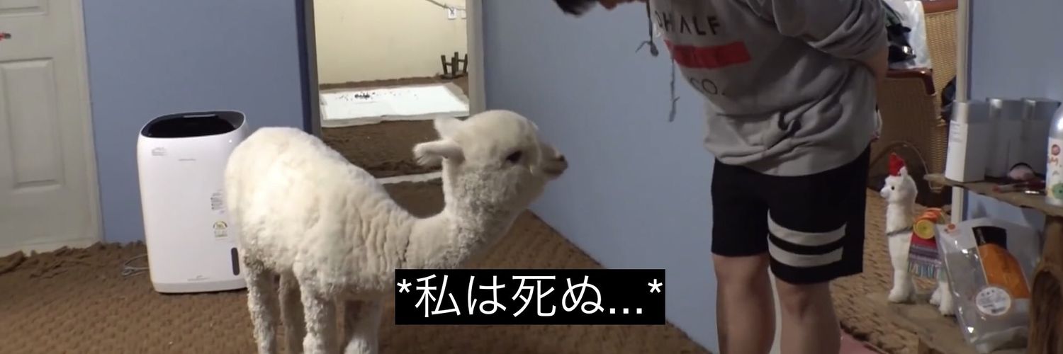 カナ2 (@kana_2gou) / Posts / X