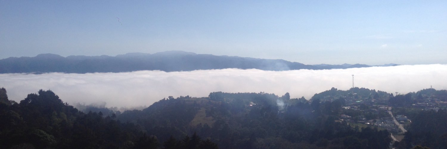 Colocho Mapurain. (@DonColocho) / Posts / X