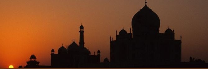 India Bees (@Indiabees) / Posts / X