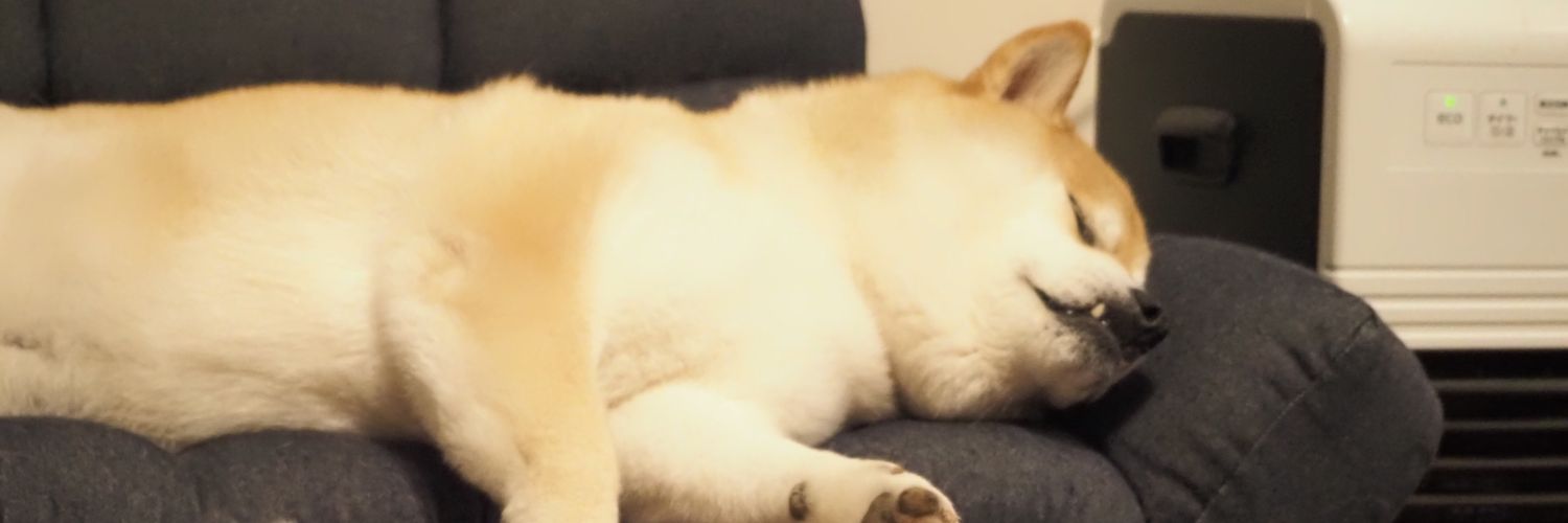 大五郎(柴犬) (@daigoro_sibainu) / Posts / X