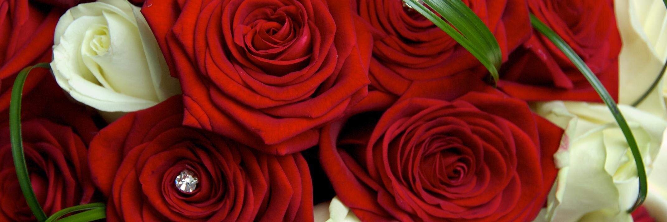 Valerie of Dore (@valerieofdore) / Posts / X