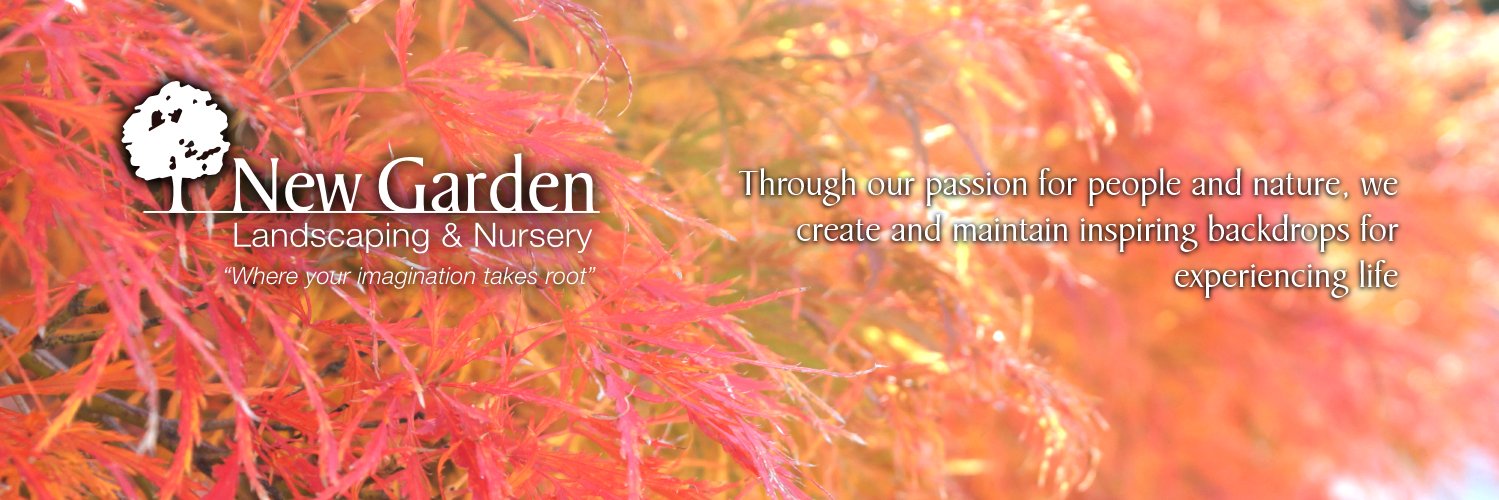 New Garden (@NewGarden) / Posts / X