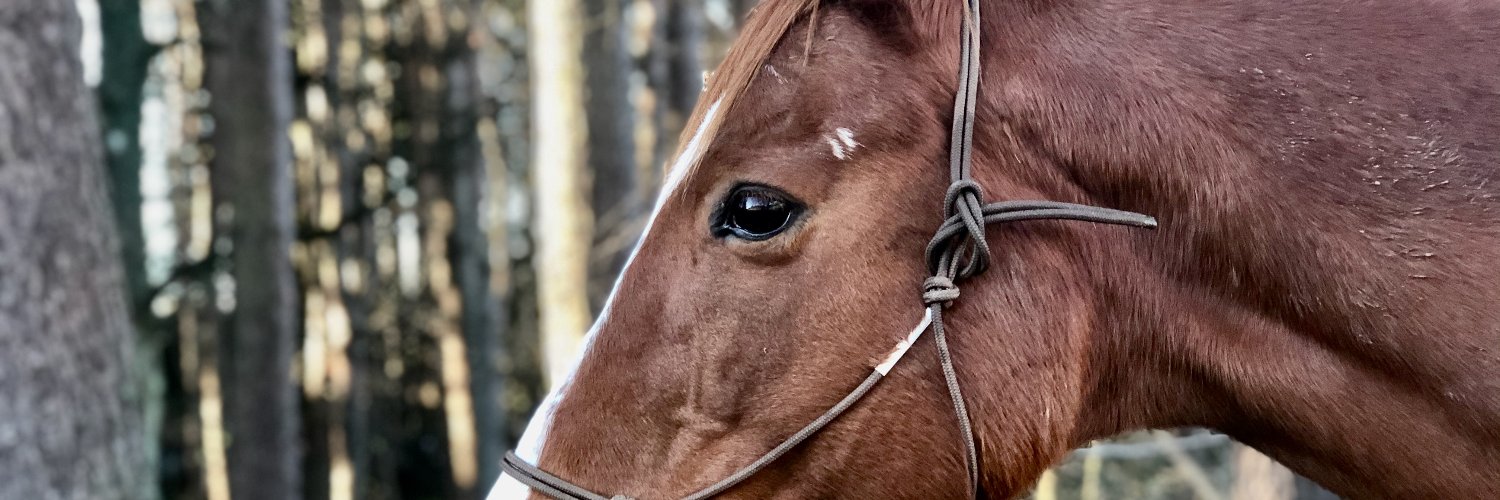 Tania Kindersley (@taniakindersley) / Twitter