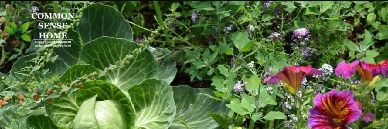 Common Sense Home (@CommonSenseIdea) / Posts / X