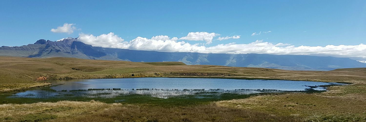 Roland Harrison (@rolandharrison) / Posts / X