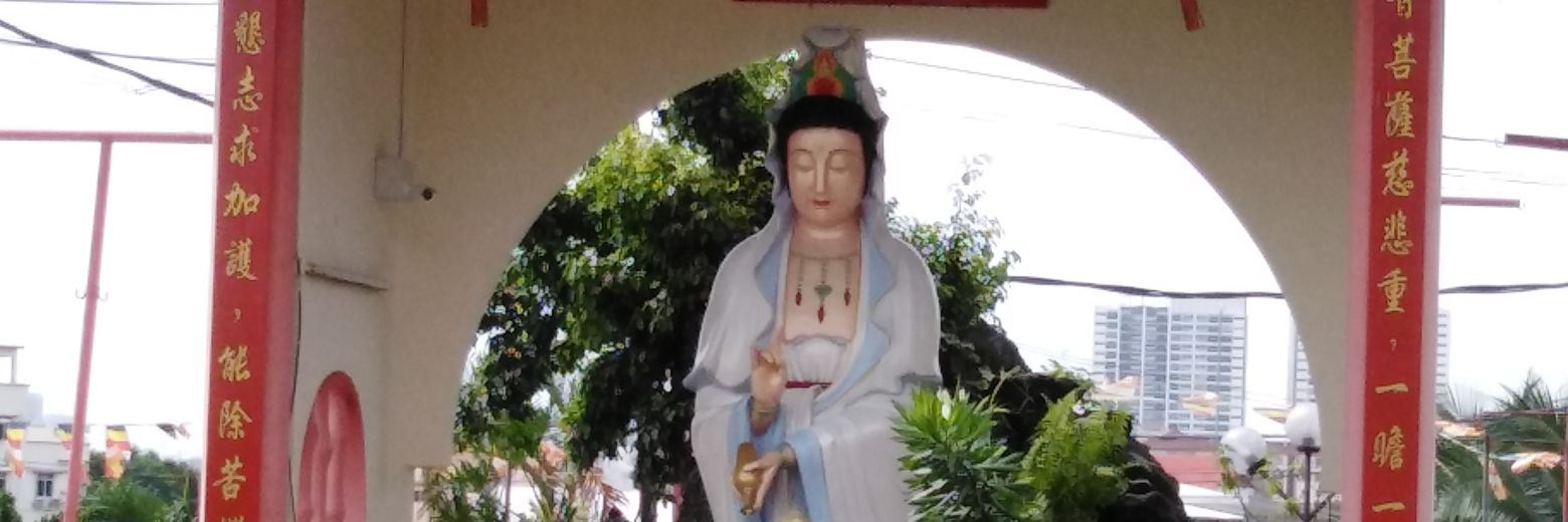 Sasidaran Terancce (@sasidaran97) / Posts / X