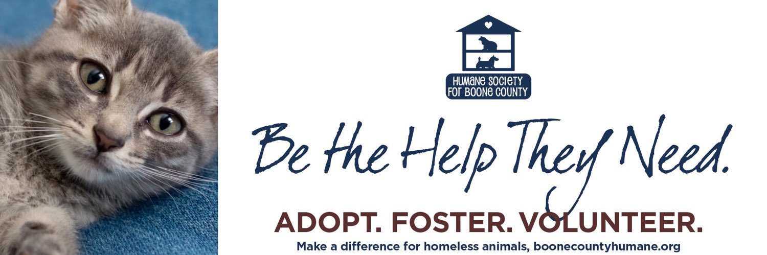 Humane Society/Boone (@HSforBC) / Posts / X