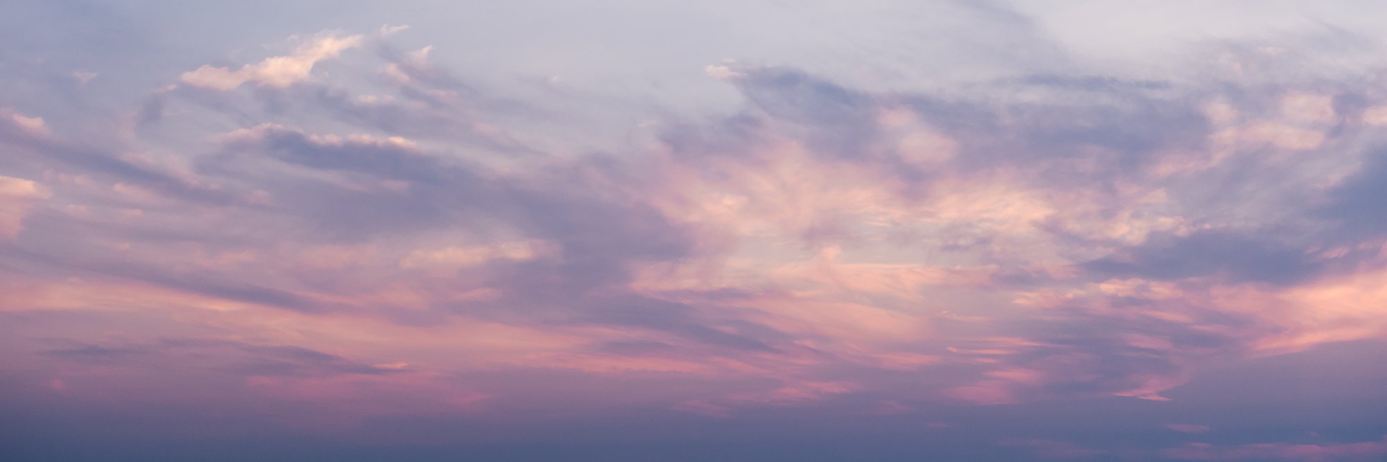 Martha Swann-Quinn (@marthaswann) / Posts / X