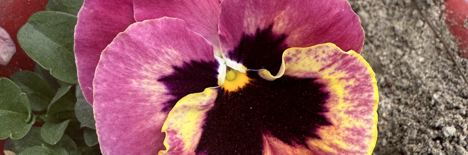 LIVECOUNTS.XYZ - Twitter Live Follower Count For gülgün erdoğan tosun !⚡