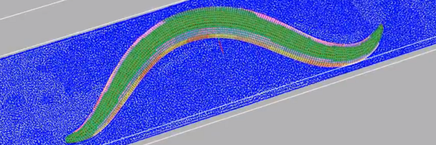 OpenWorm (@OpenWorm) / Twitter