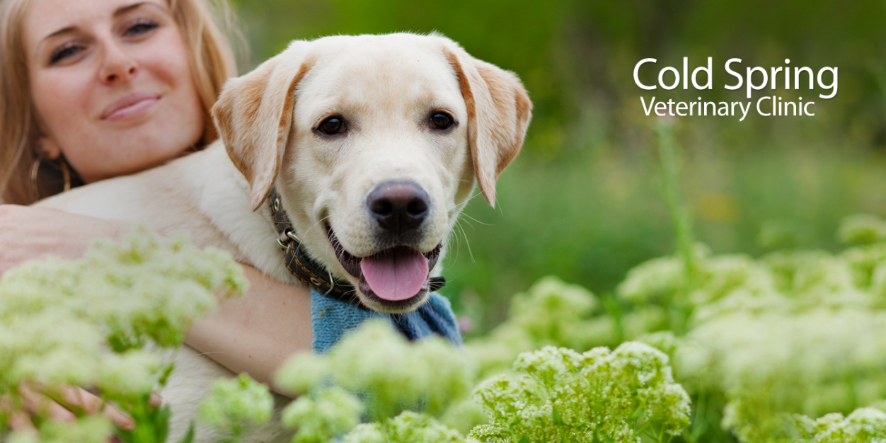 ColdSpring VetClinic (@ColdSpring_Vet) / Posts / X