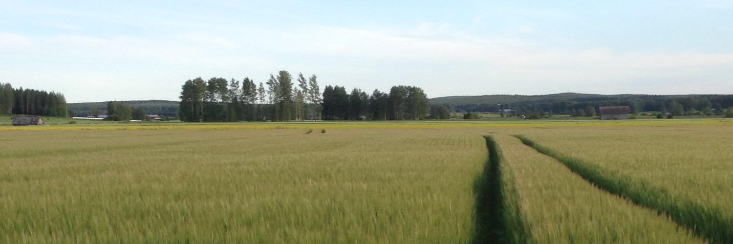 Ossi Hakala-Rahko (@Hakala_RahkOssi) / Posts / X