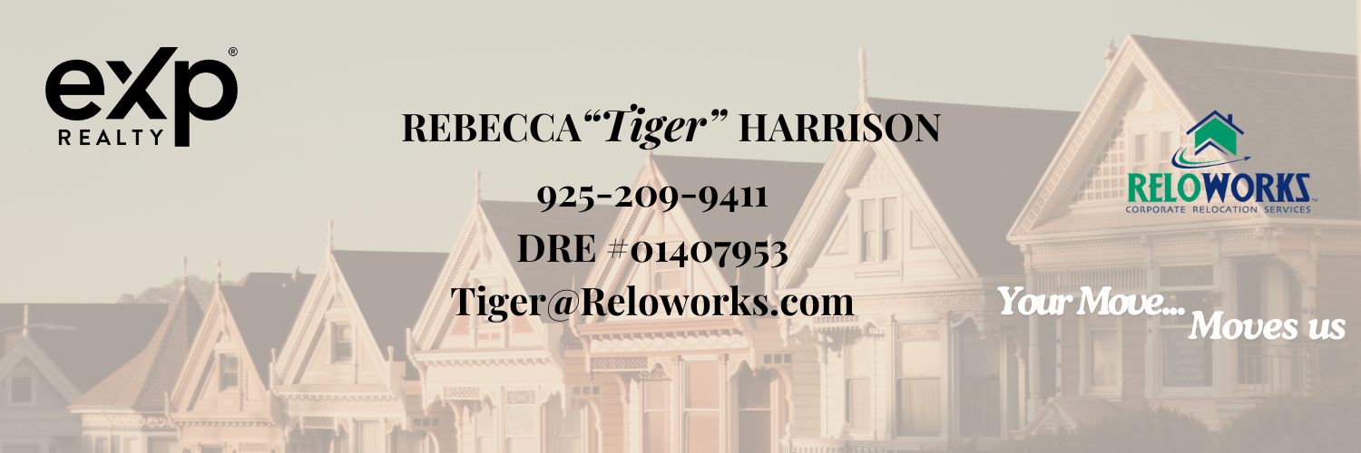 Tiger Harrison (@ReloTiger) / Posts / X