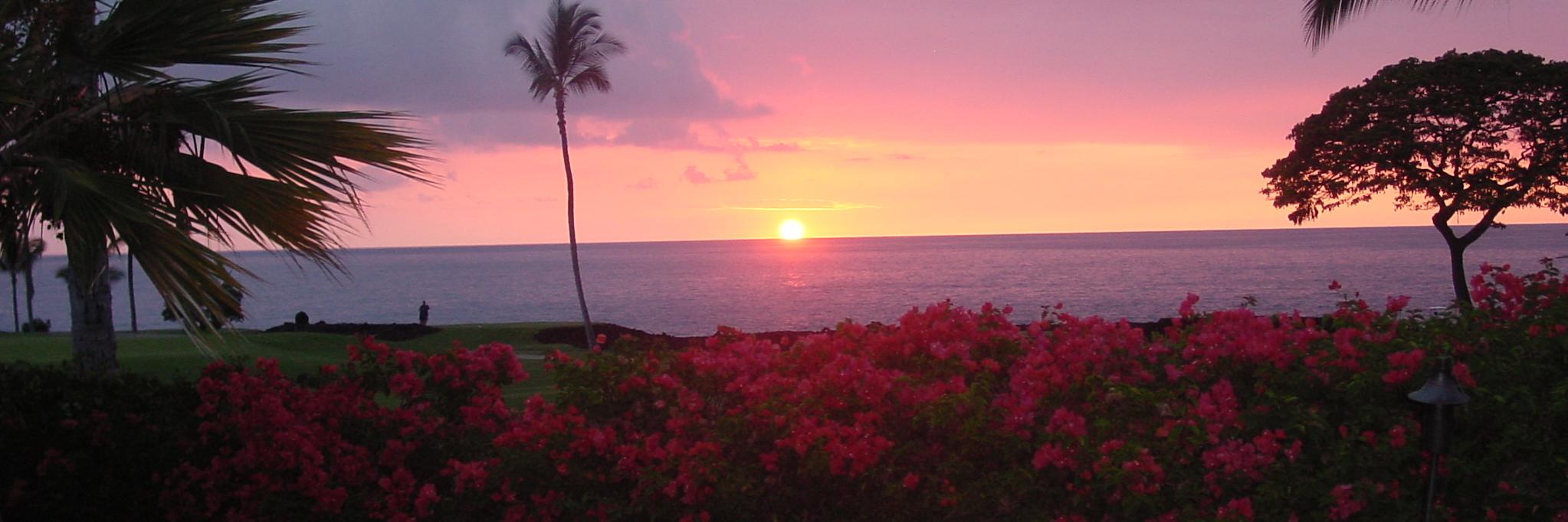 Bill Parfitt's Twitter Stats Summary Profile (Social Blade Twitter ...