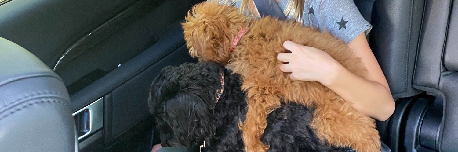 taryn langer (@tarynlanger) / Twitter