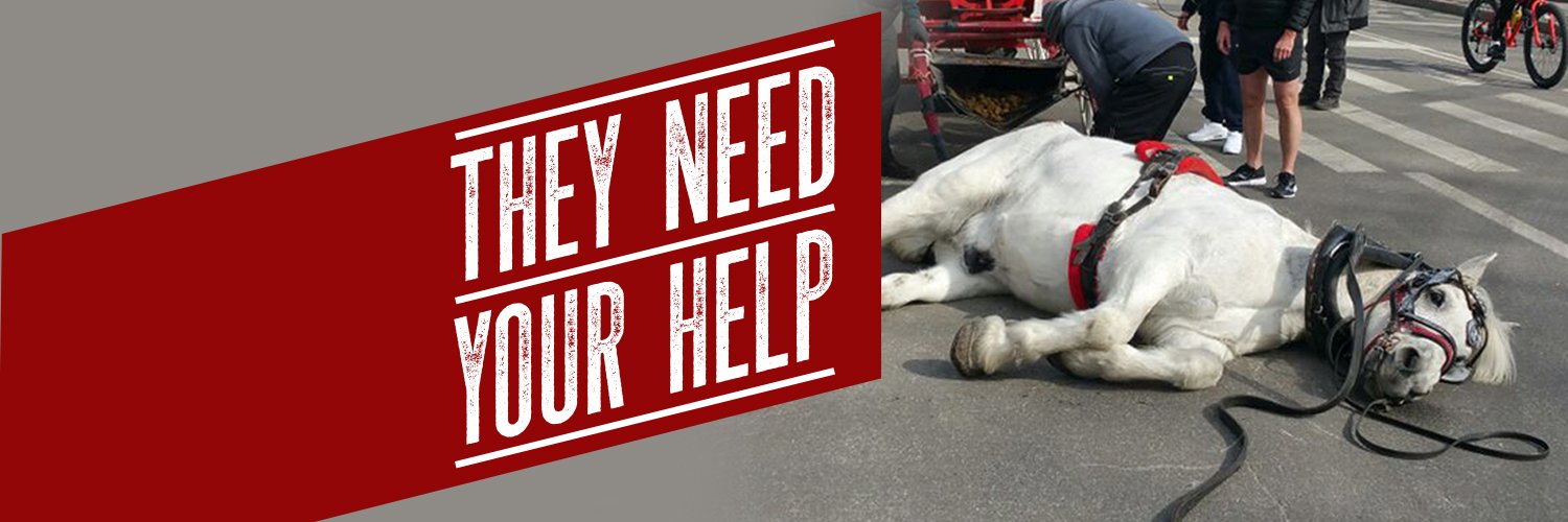 NYCLASS (@nyclass) / Twitter