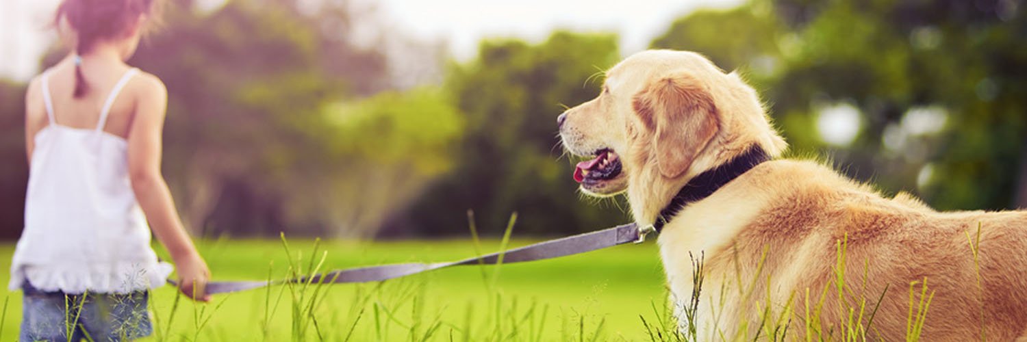 Alum Rock Animal (@AlumRockAnimals) / Posts / X