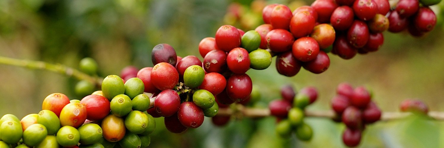 Honor Coffee (@honorcoffee) / Posts / X