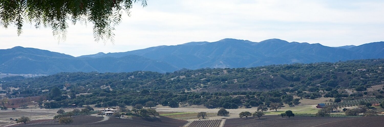 Peter Bourget (@pullthatcork) / Twitter