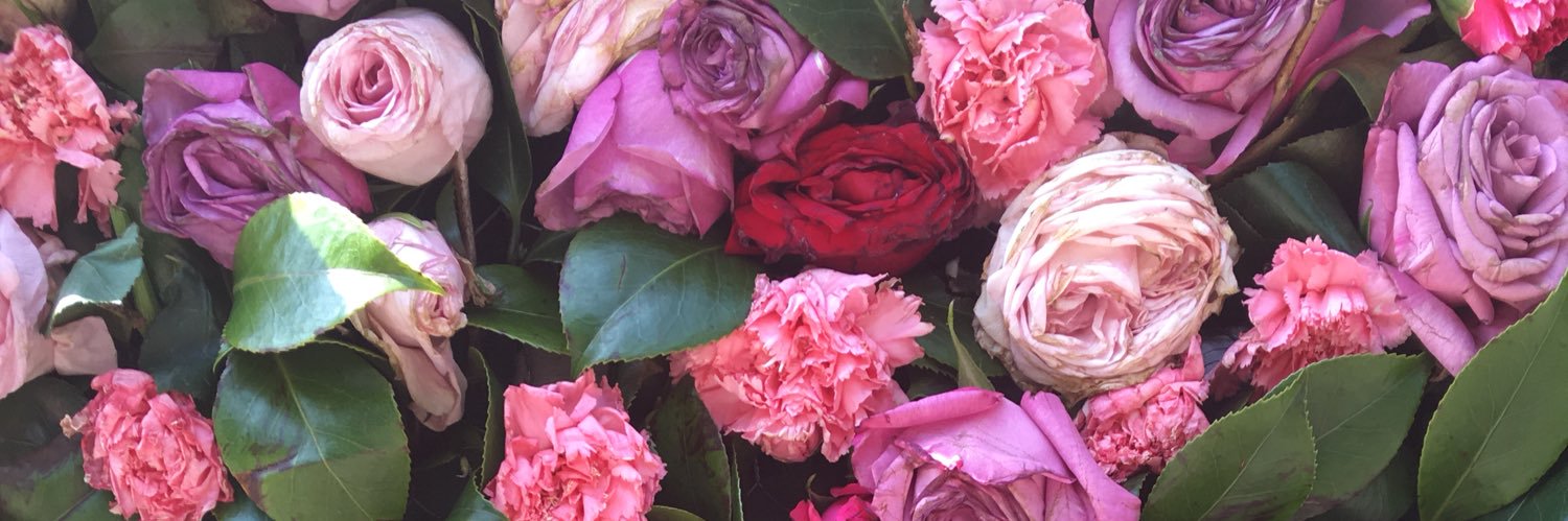 Lucero Flores (@LuceroFloresH) / Posts / X