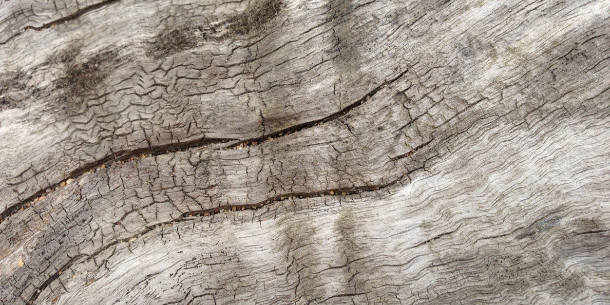 Pierre Marceau (@Pierre_Marceau) / Posts / X