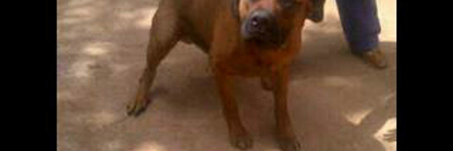 michael mwango (@Mwango_script) | Twitter