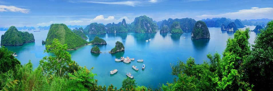 Tuoi Tre News (@VietNewsGateway) / Posts / X