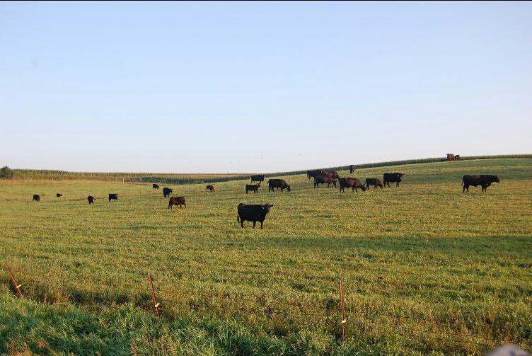 Mass Farms (@MassFarms) / Posts / X