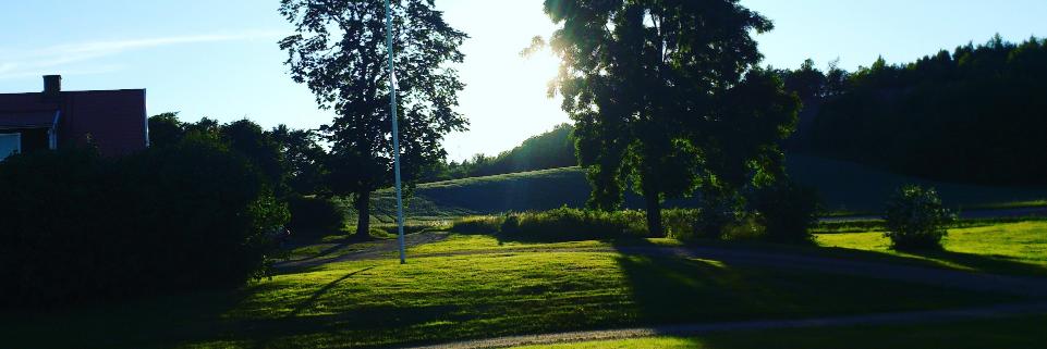 Skojar du Eller (@skojar_du_eller) / Posts / X