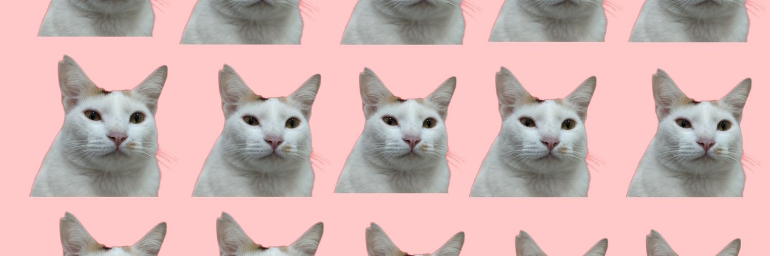 lorem ipsum🍉 (@berlarian) / Posts / X