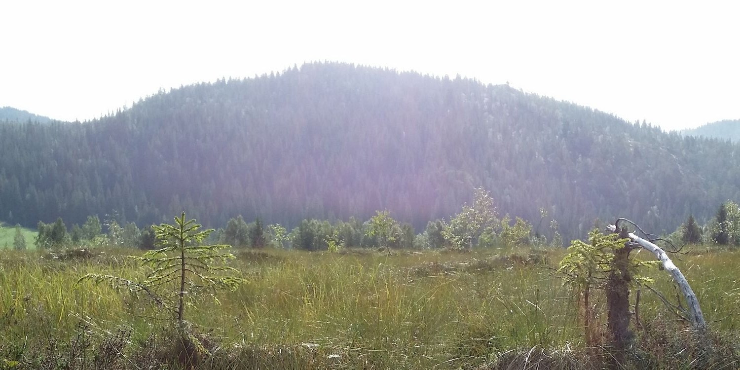 Frol IL Orientering (@frolorientering) / Posts / X