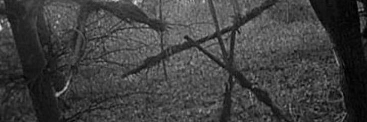 Witch 🕷 (@theblaiirwitch) / Posts and Replies / X