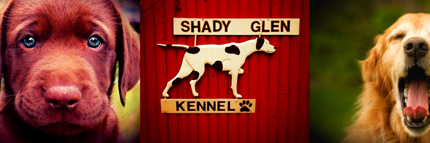 Cindy Meaux (@ShadyGlenKennel) / Posts / X