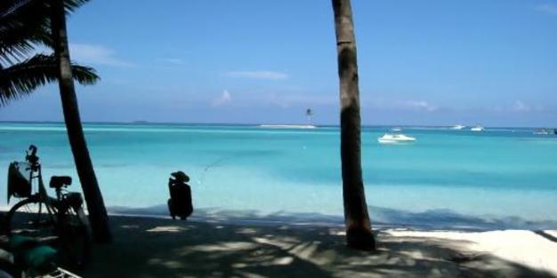 いさりび(@Isaribi) - Twilog