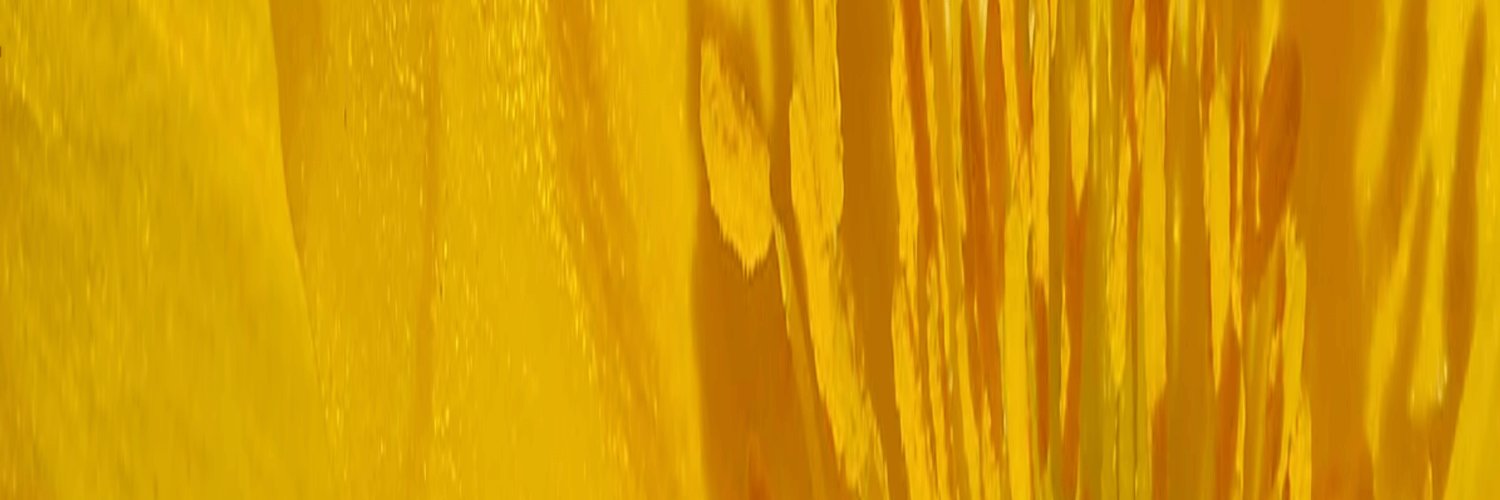 Yellow Poppy Media (@Poppy_Talent) / Posts / X