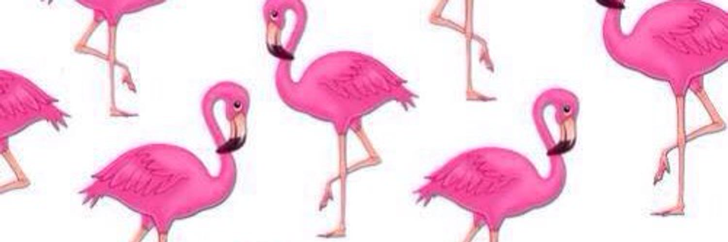 Zara Mendez Zaramendez7 Twitter