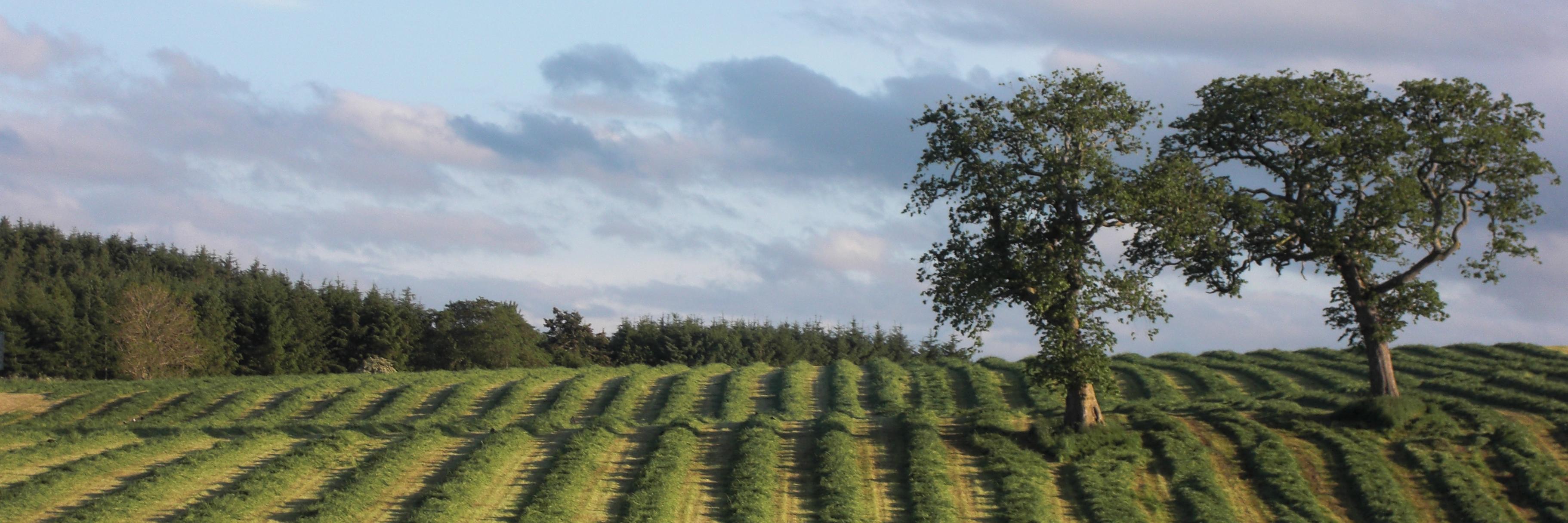 McPherson Agri (@McPhersonAgri) / Posts / X