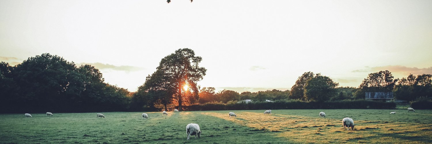 Green Farm Kent (@greenfarmkent) / Posts / X