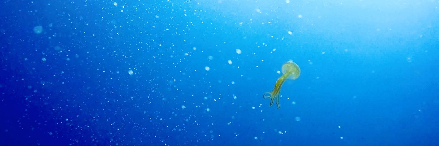 Cecilia Revuelta (@CeciRevuelta) / Posts / X