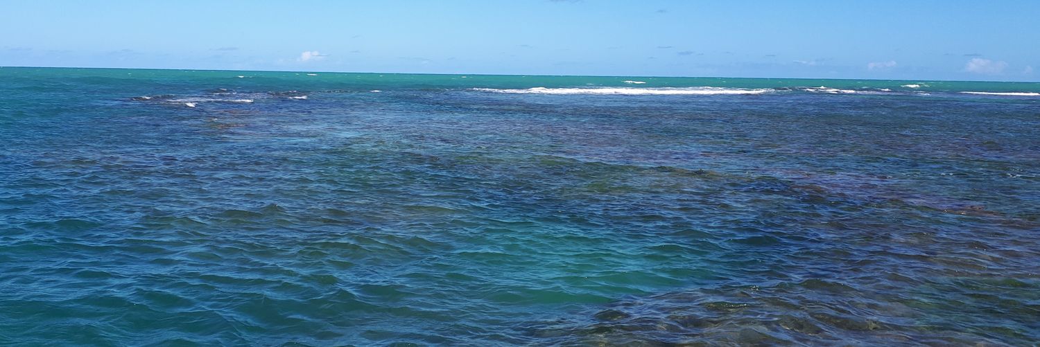 Roberto Carlos CostaⓂ️🇧🇷 (@robcarloscosta_) / Posts / X