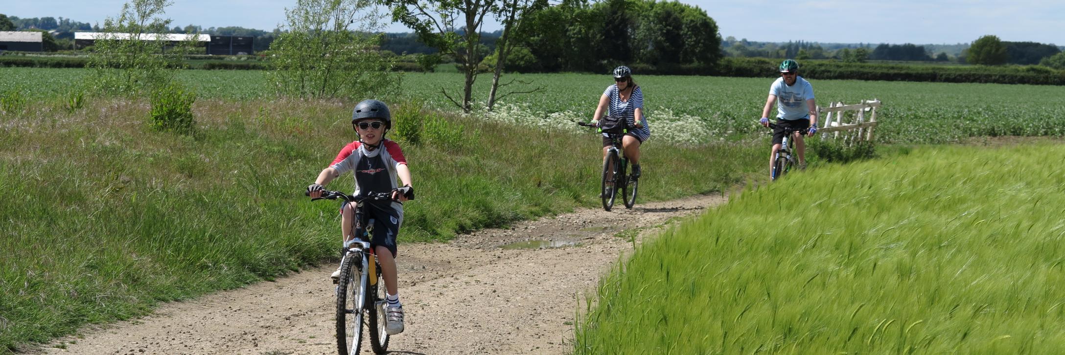 Fellow Velo (@fellowvelo) / Posts / X